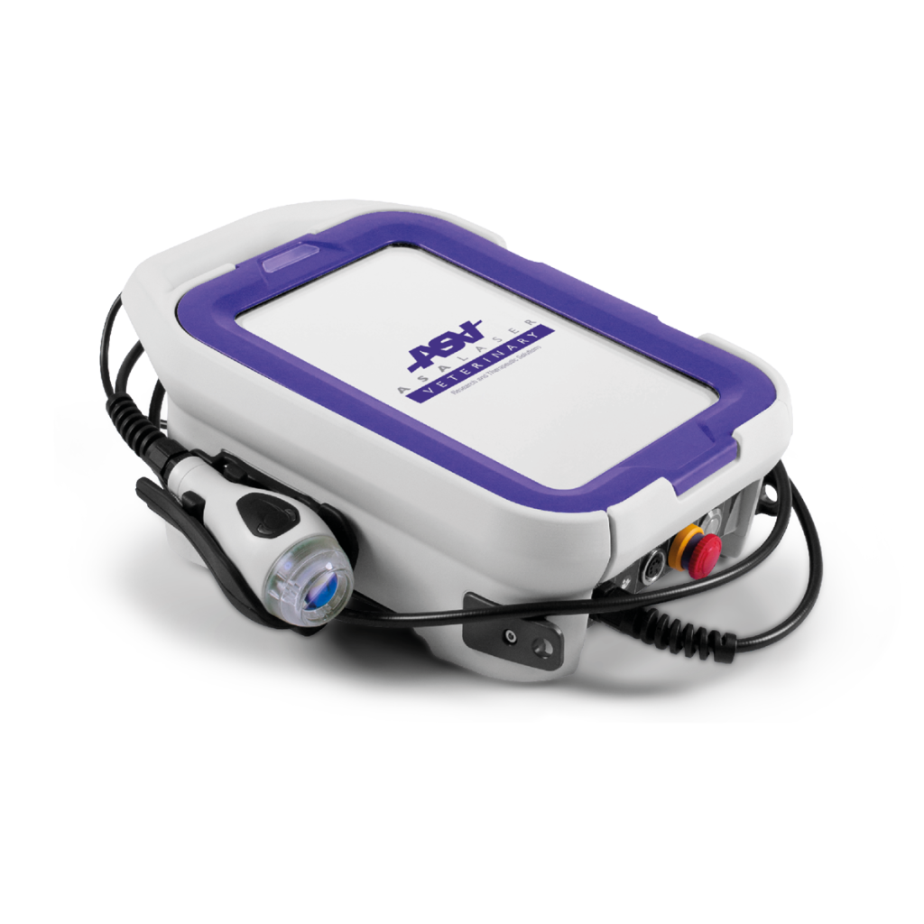 M-VET THERAPY LASER | DLC Vet